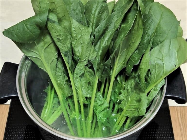 Spinach Ohitashi (Japanese Spinach Salad in Dashi Broth) - Umami Pot