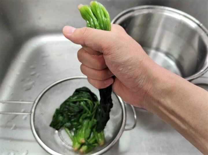Spinach Ohitashi (Japanese Spinach Salad in Dashi Broth) - Umami Pot