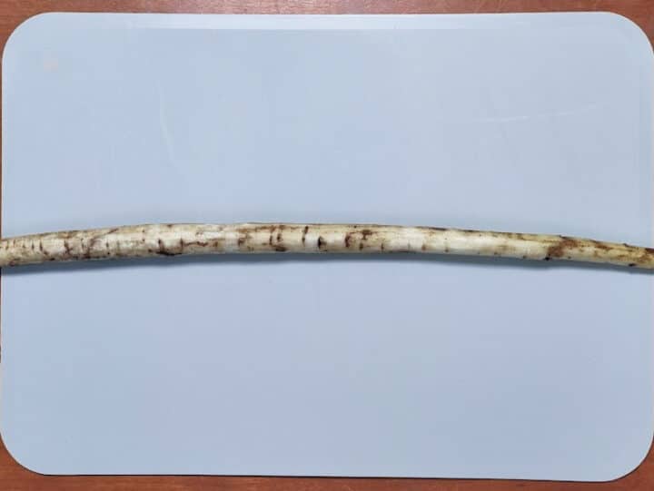 Kinpira Gobo (Burdock Root Stir-Fry) - Umami Pot