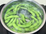 Zunda Mochi (Rice Cakes with Sweet Edamame Paste) - Umami Pot