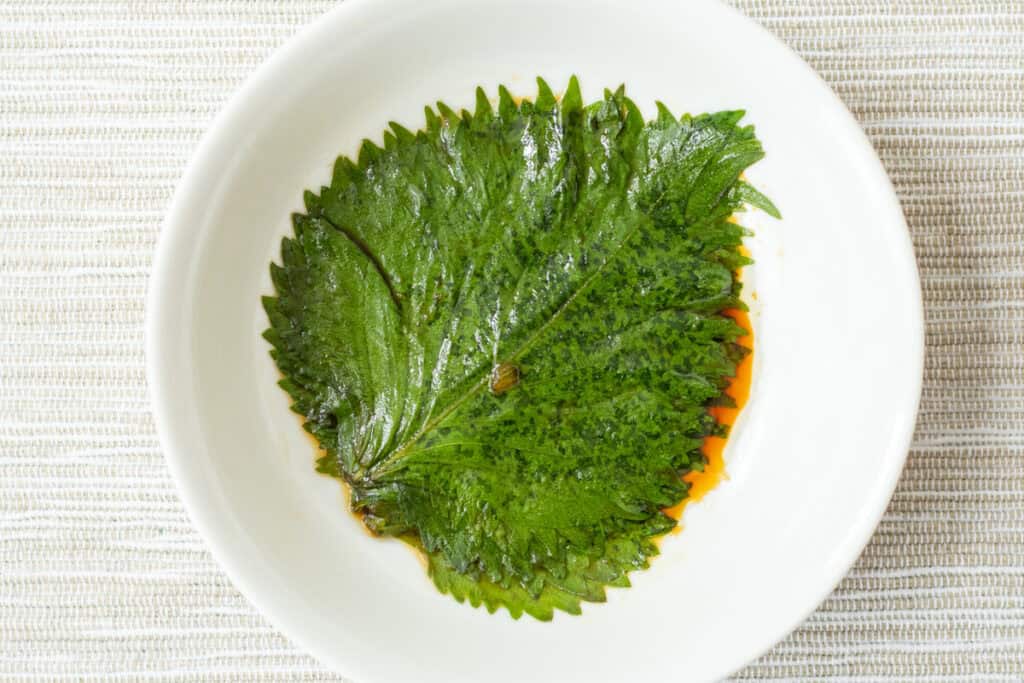 Japanese Pickled Shiso (Perilla) Leaves in Soy Sauce - Umami Pot