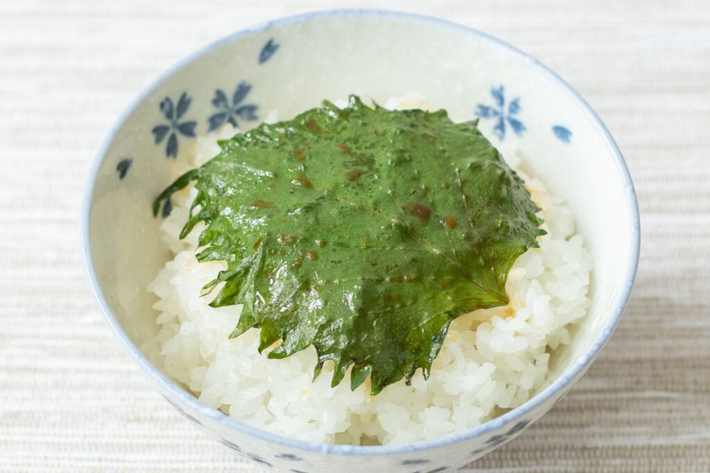 Japanese Pickled Shiso (Perilla) Leaves in Soy Sauce - Umami Pot
