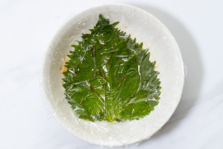 Japanese Pickled Shiso (Perilla) Leaves in Soy Sauce - Umami Pot