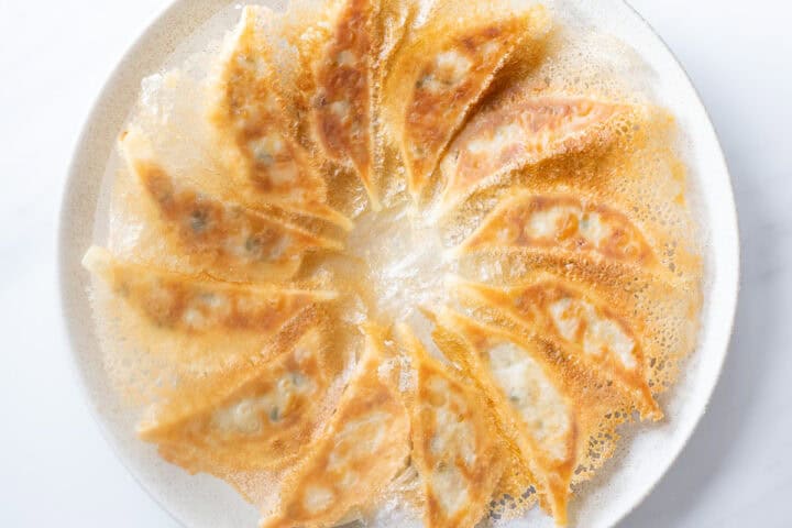 Gyoza (Japanese Pork Dumplings) - Umami Pot