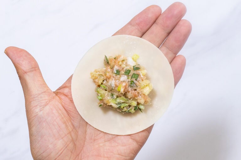 Gyoza (Japanese Pork Dumplings) - Umami Pot
