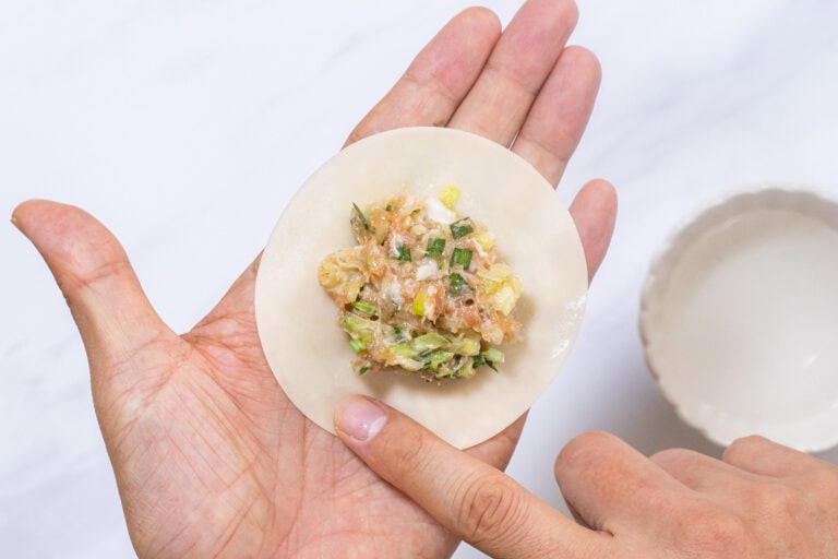 Gyoza (Japanese Pork Dumplings) - Umami Pot