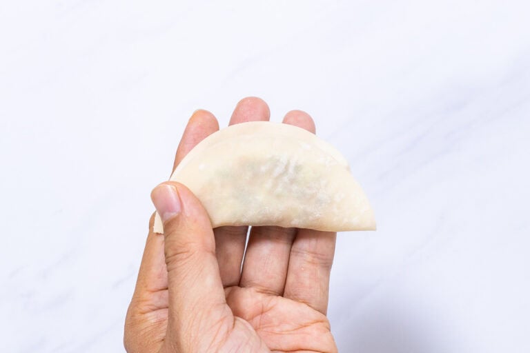 Gyoza (Japanese Pork Dumplings) - Umami Pot